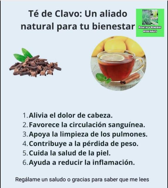 Descubre los Maravillosos Beneficios del Té de Clavos de Olor - INICIO