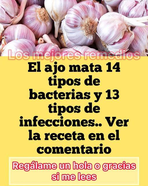 El Ajo: Un Antibiótico Natural para Combatir Bacterias e Infecciones ...