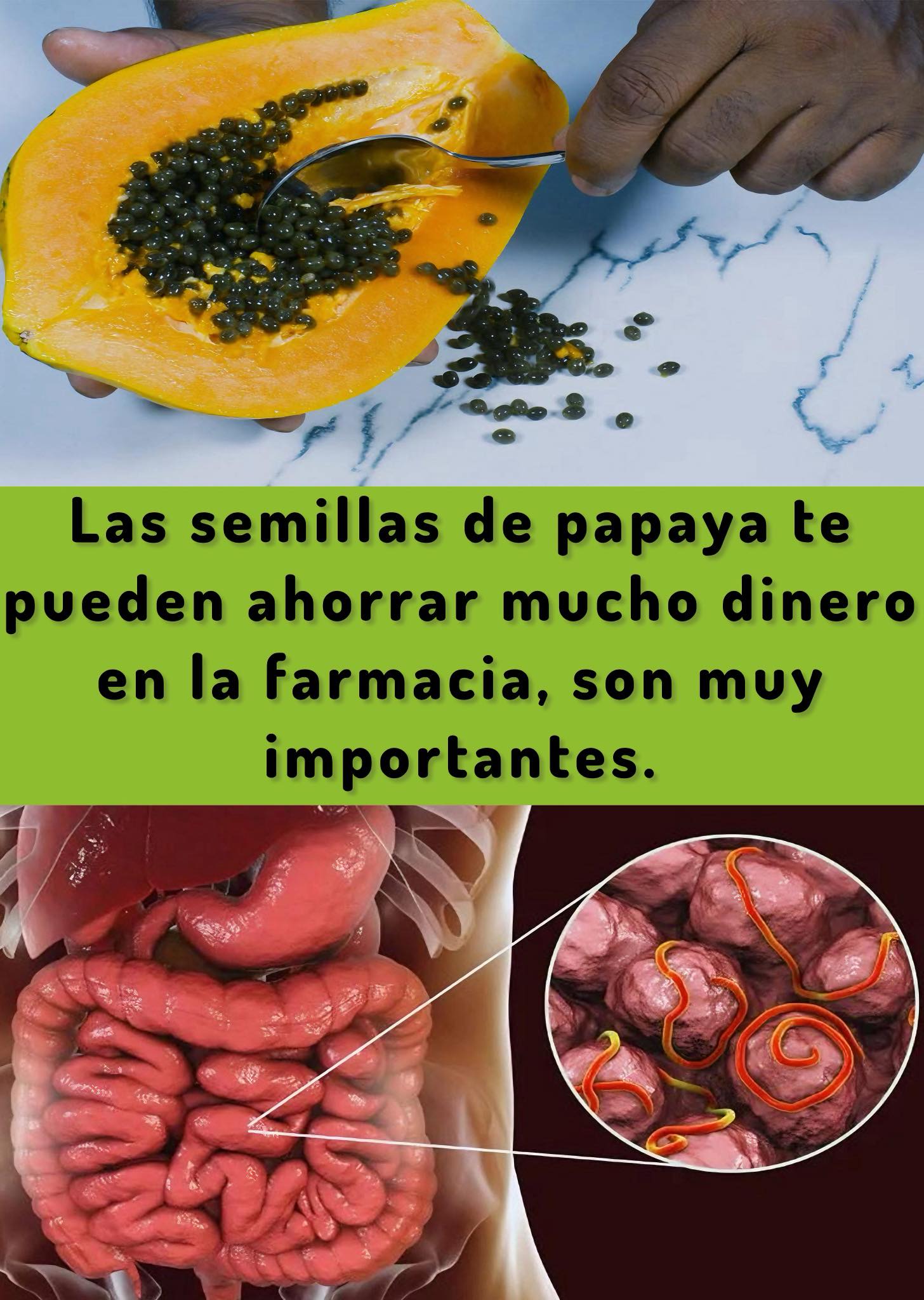 Los 30 Beneficios de las Semillas de Papaya y Cómo Usarlas: Recetas ...